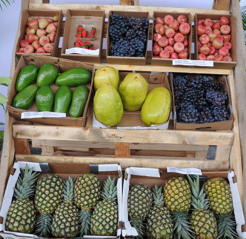 República Dominicana conmemora el Día de las Frutas