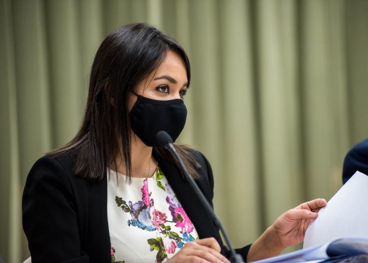 La senadora Faride Raful renuncia al "barrilito" y tratará de eliminarlo