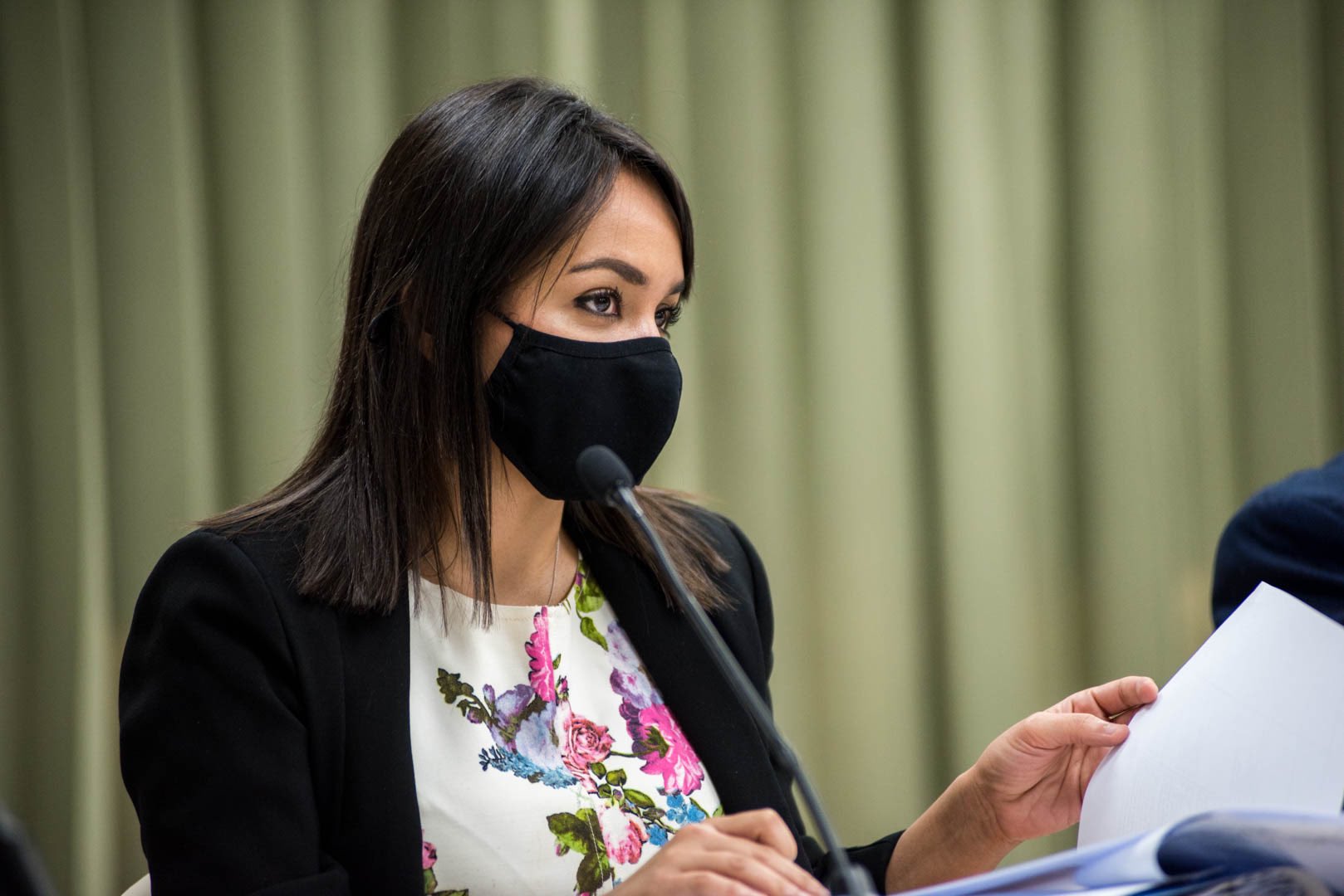 La senadora Faride Raful renuncia al "barrilito" y tratará de eliminarlo