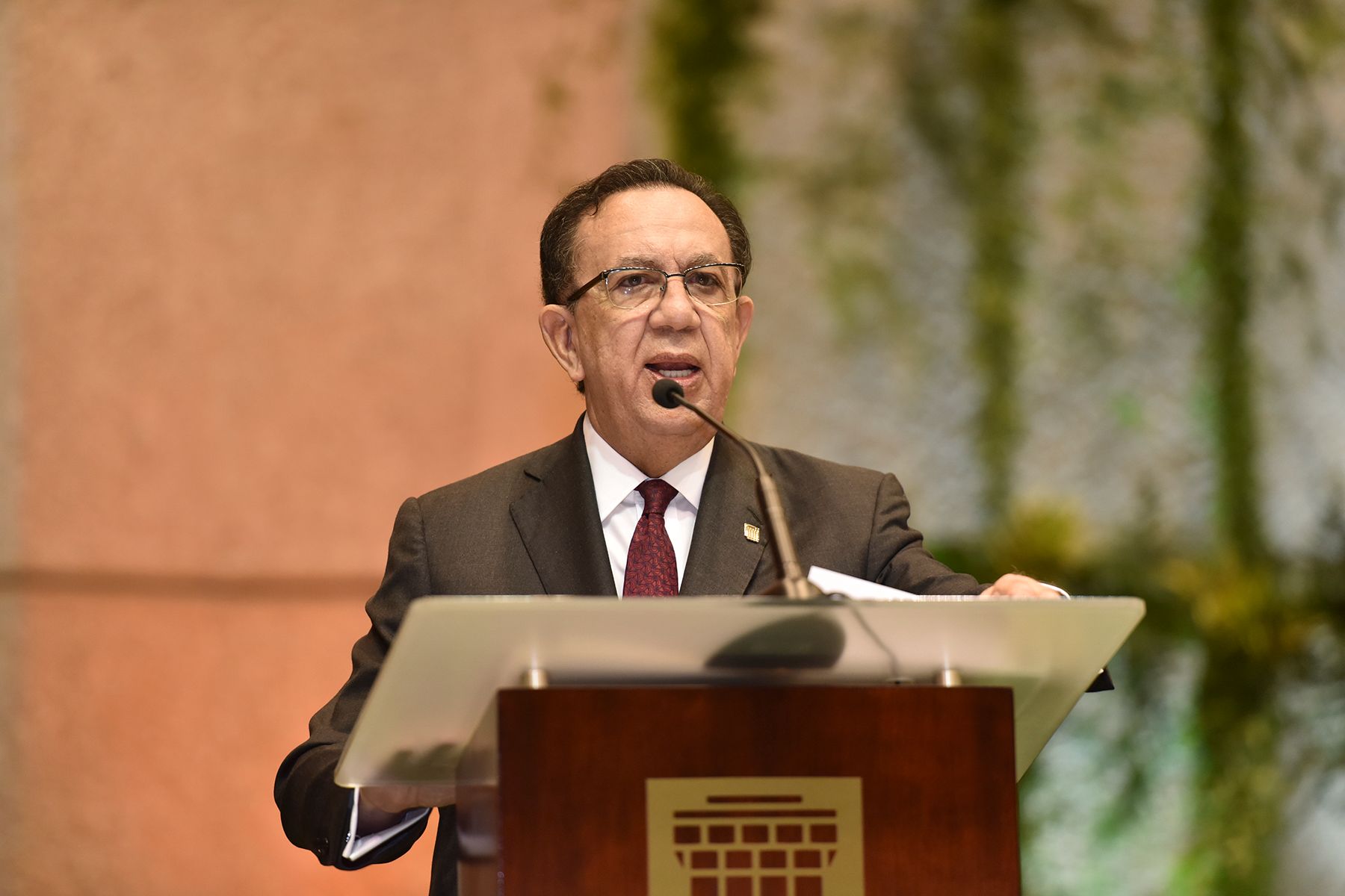 Hector Valdez Albizu - Periódico elDinero