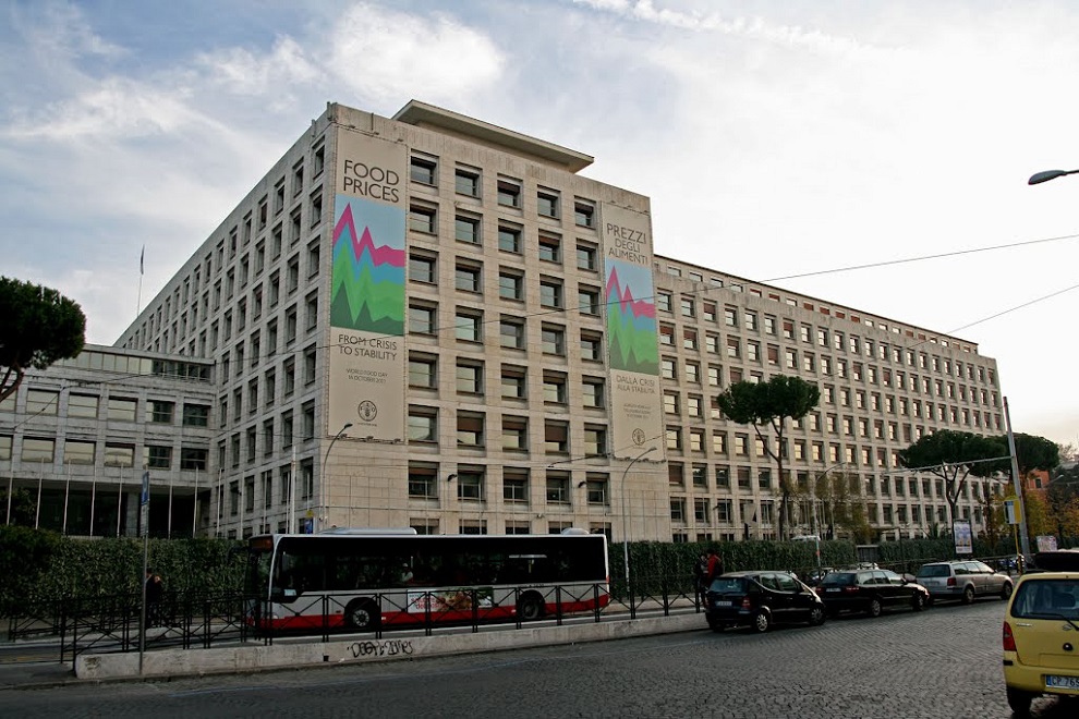 Edificio De La Fao En Roma DENTRO DE LA SEDE DE LA FAO YouTube