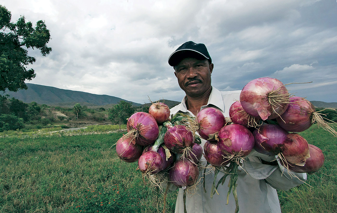 La falta de mercado estanca el potencial económico de Azua