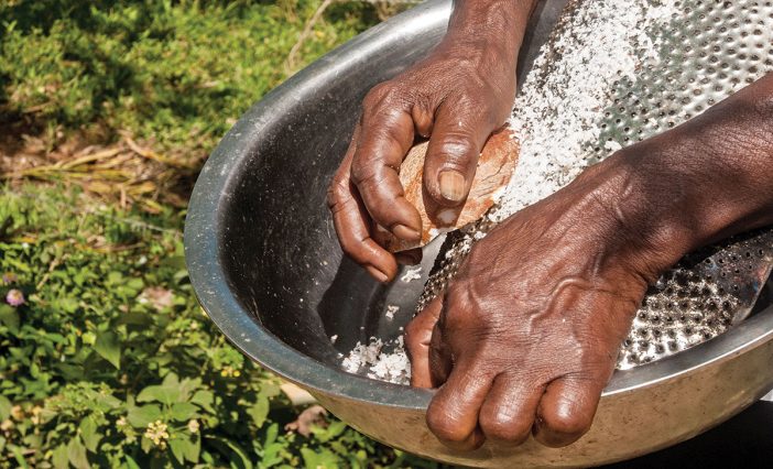 Coco: Un racimo de oportunidades para la mujer rural y la industria