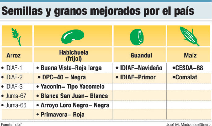 Sector agrícola dominicano con atrasos en renovación de semillas